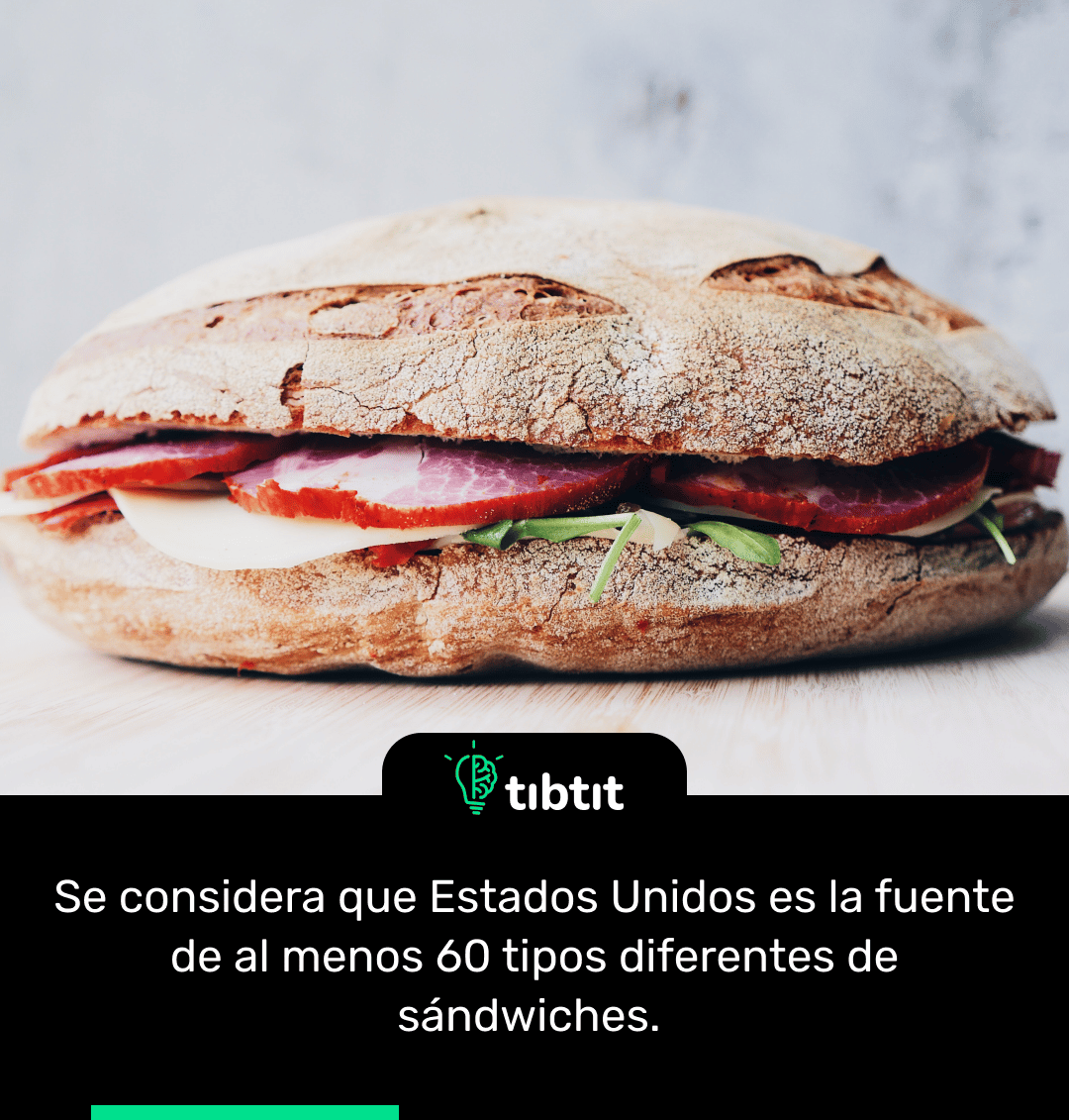 Sabías que… 60 tipos diferentes de sándwiches | Curiosidades & Datos ...