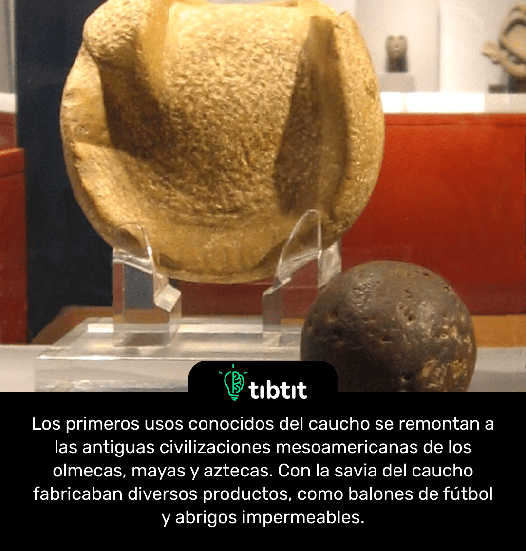Sabías que… El caucho se utilizó por primera vez en | Curiosidades ...