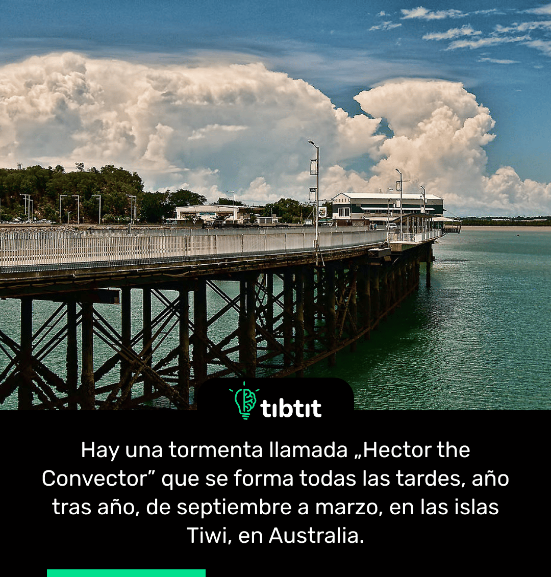 Sabías que… Hector the Convector | Curiosidades & Datos curiosos | Los ...