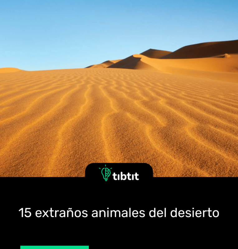 Sabías que… 15 extraños animales del desierto | Curiosidades & Datos ...