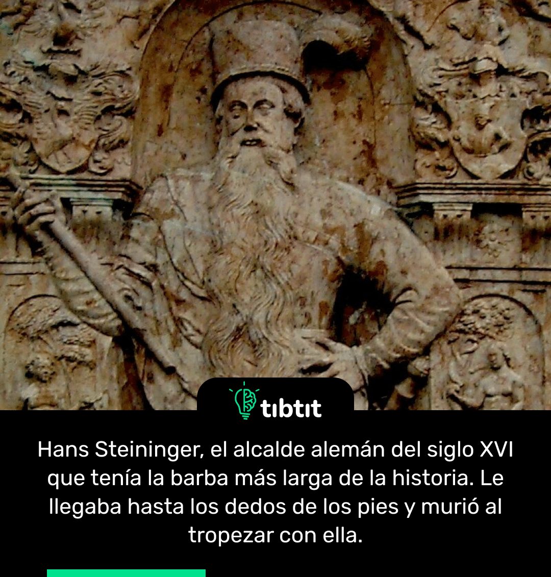 Sabías que… Hans Steininger, el alcalde alemán del siglo XVI que tenía ...