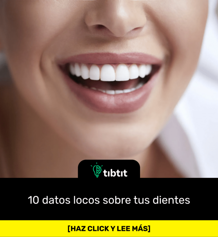 Sabías que… 10 datos locos sobre tus dientes | Curiosidades & Datos ...