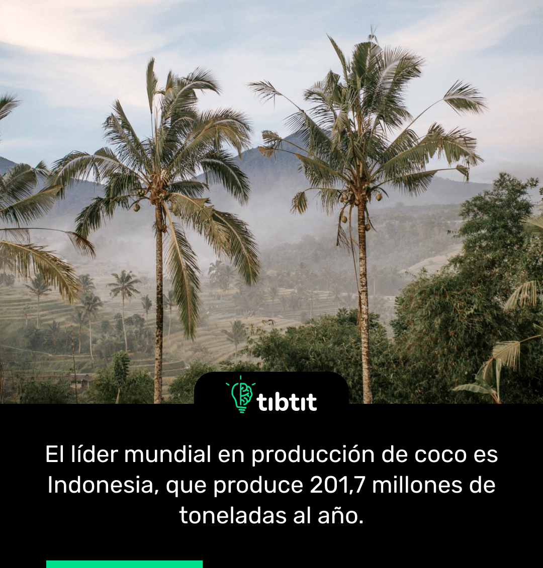 Sabías que… El líder mundial en producción de coco es Indonesia, que ...