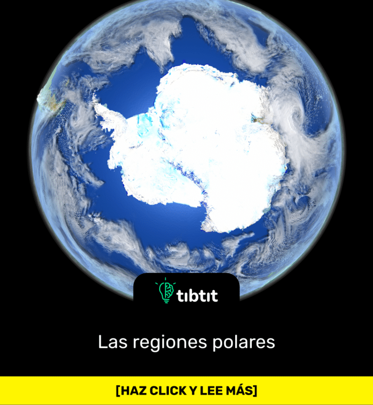 Sabías que… Las regiones polares | Curiosidades & Datos curiosos | Los ...