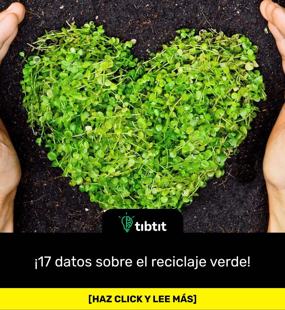 Sabías que… ¡17 datos sobre el reciclaje verde! | Curiosidades & Datos ...
