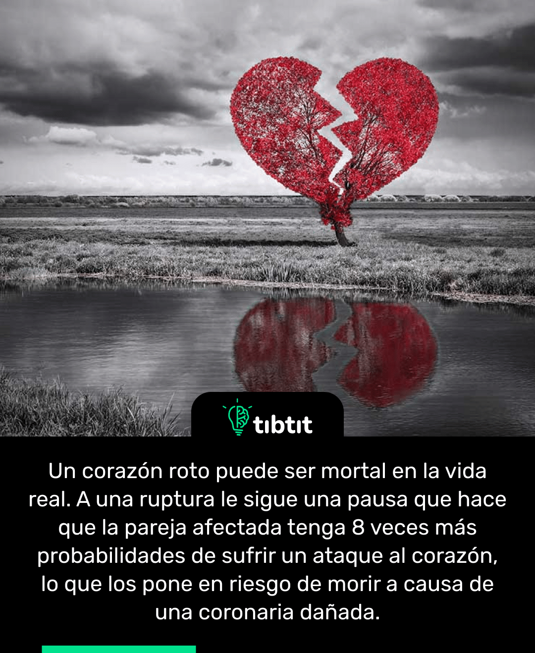 Sabías que… Un corazón roto puede ser mortal en la vida real ...