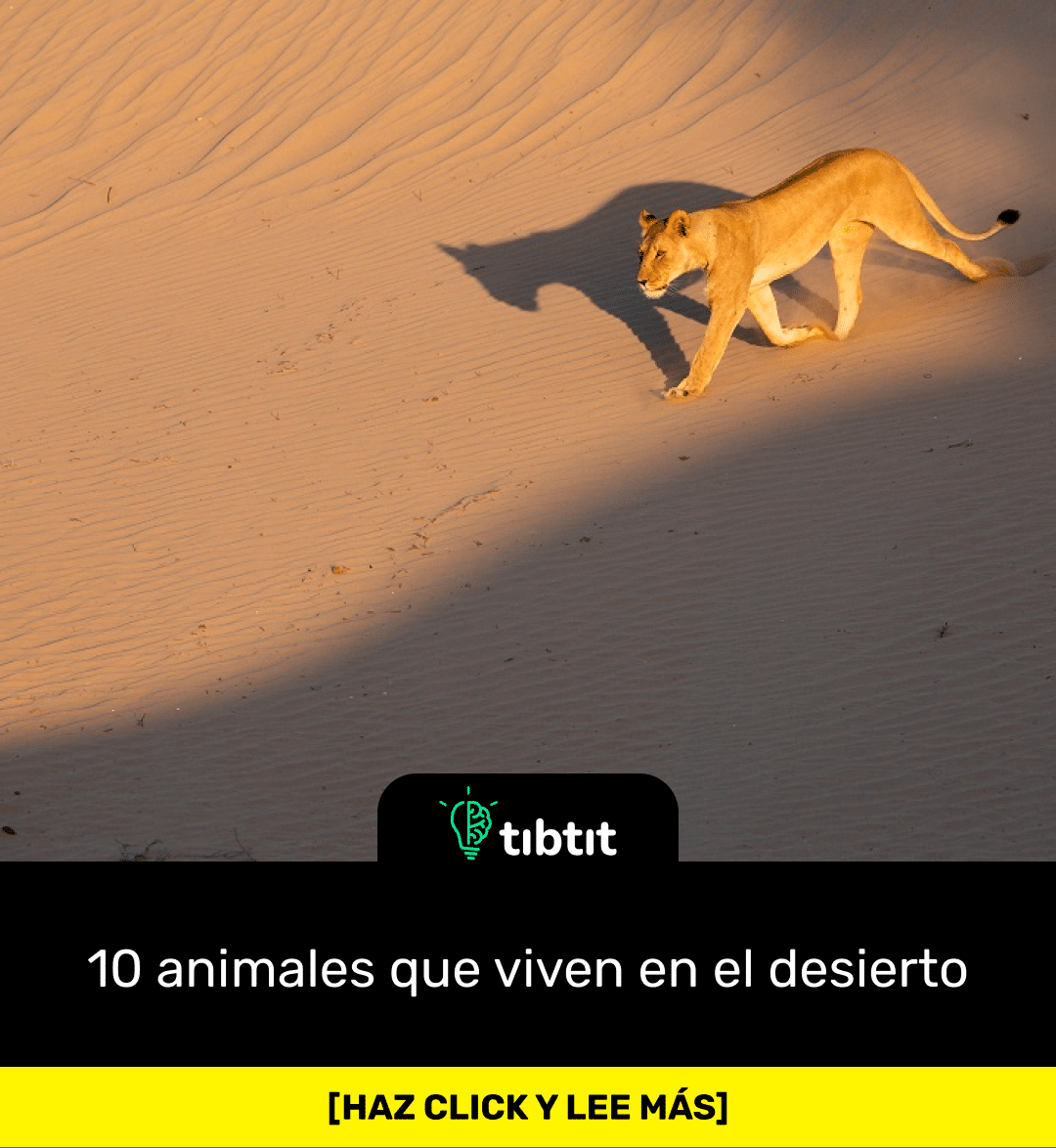 Sabías que… 10 animales que viven en el desierto | Curiosidades & Datos ...