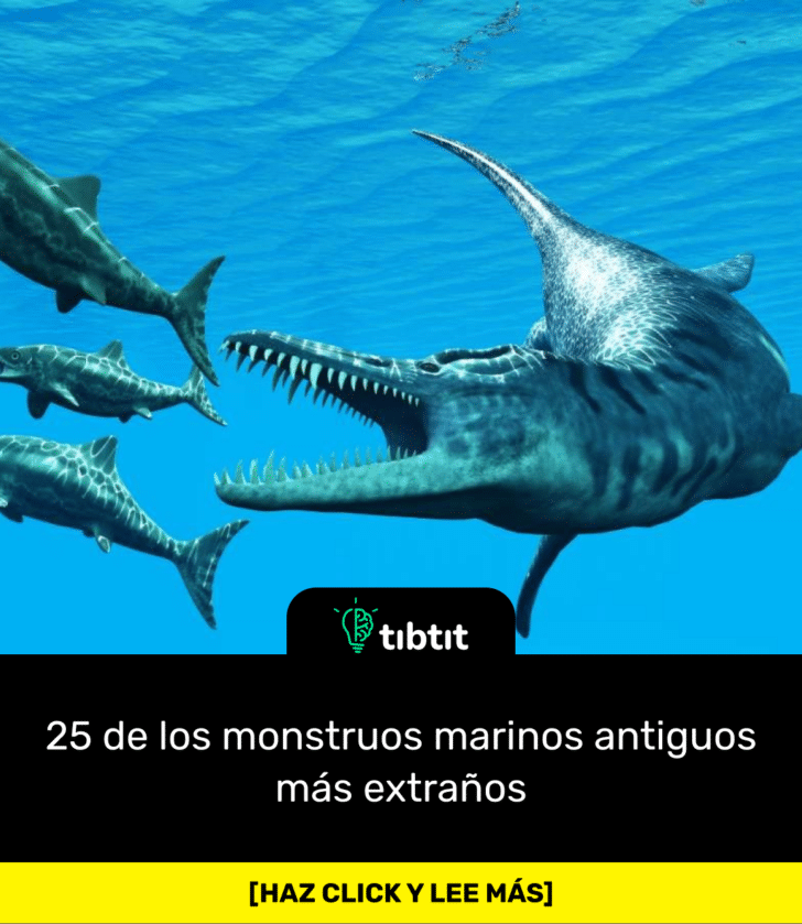 Sabías que… 25 de los monstruos marinos antiguos más extraños ...