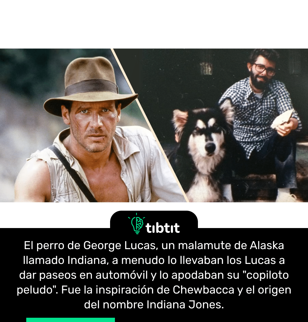 Sabías que… El perro de George Lucas | Curiosidades & Datos curiosos ...