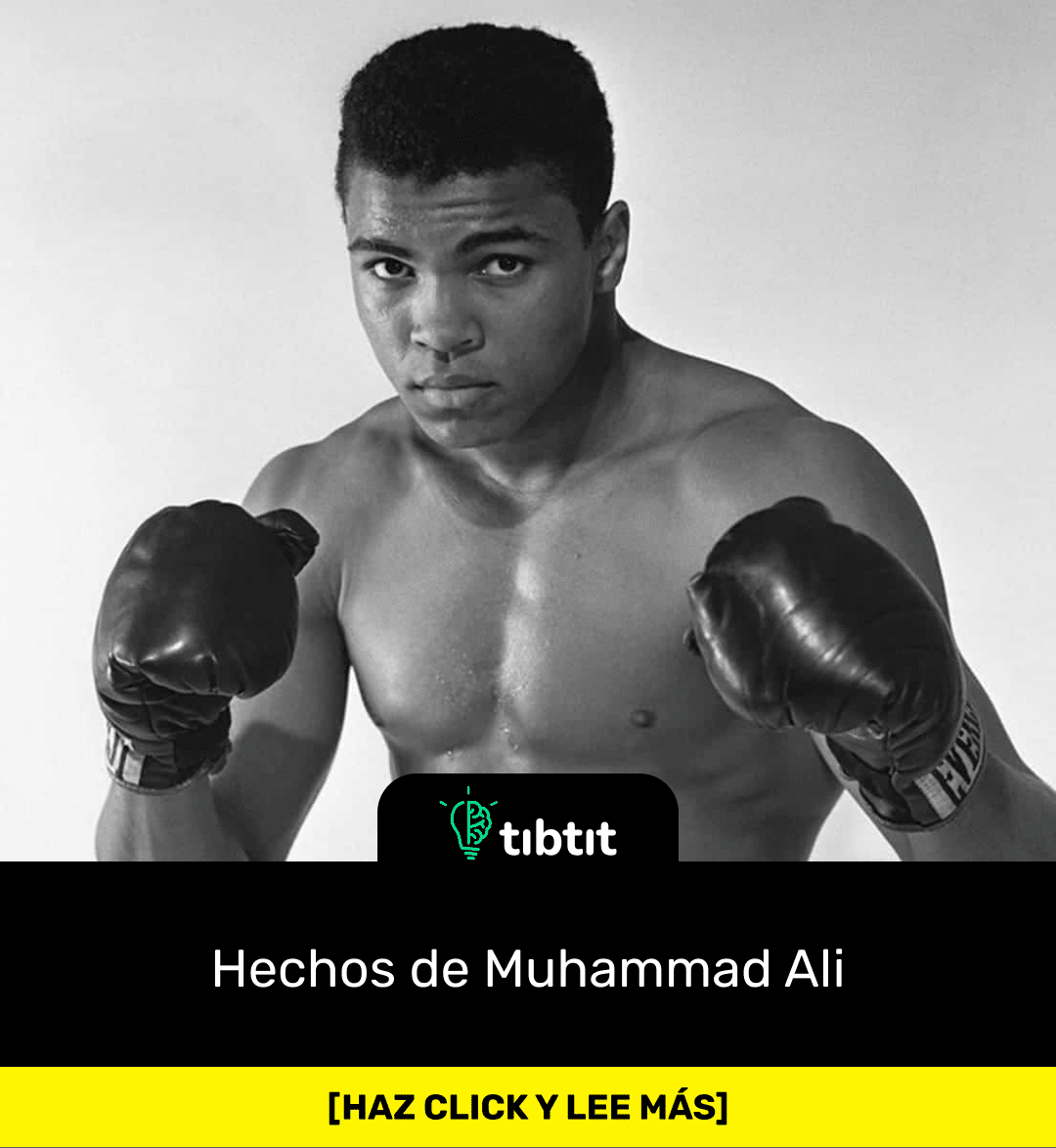 Sabías que… Hechos de Muhammad Ali | Curiosidades & Datos curiosos ...