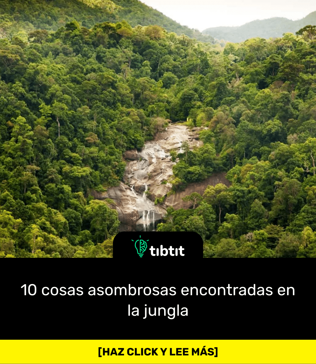 Sabías que… 10 cosas asombrosas encontradas en la jungla | Curiosidades ...