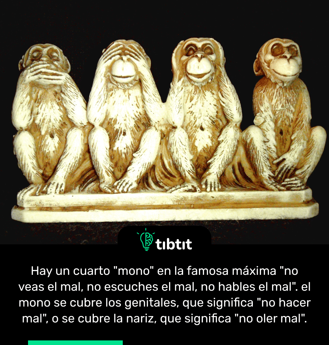 Sabías que… Hay un cuarto "mono" | Curiosidades & Datos curiosos | Los ...