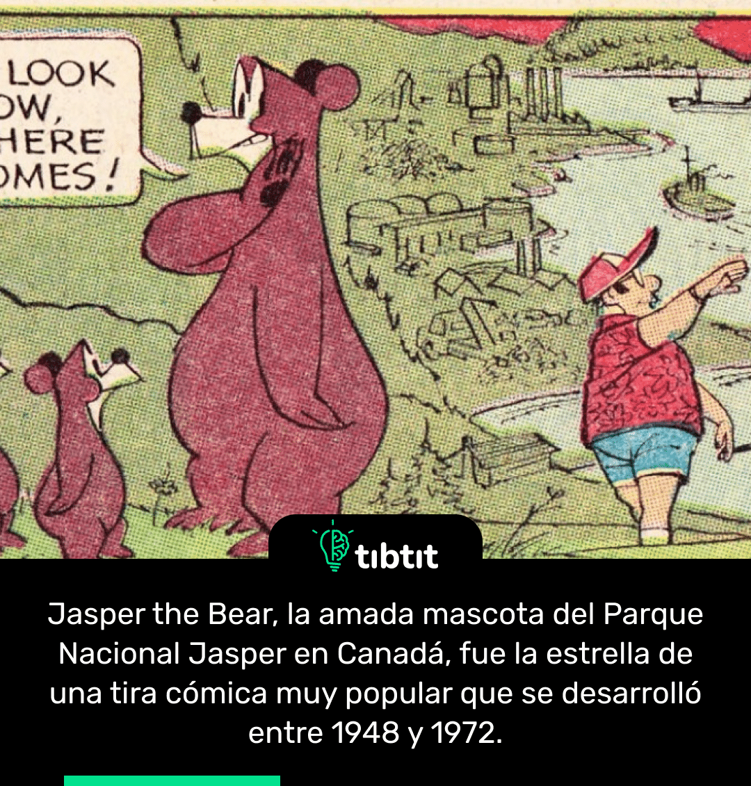 Sabías que… Jasper the Bear | Curiosidades & Datos curiosos | Los datos ...