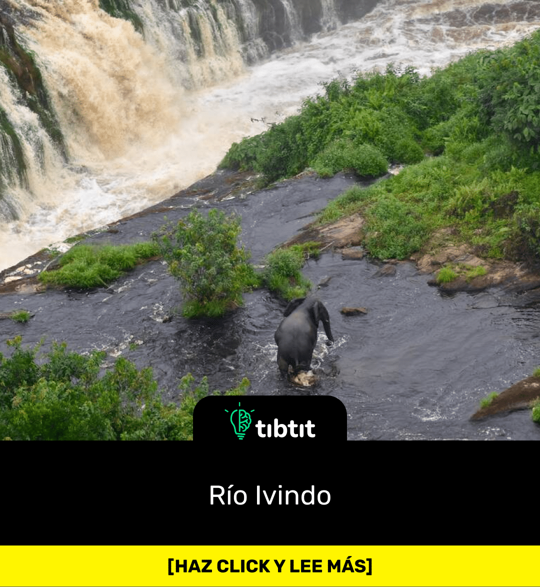 Sabías que… Río Ivindo | Curiosidades & Datos curiosos | Los datos y ...